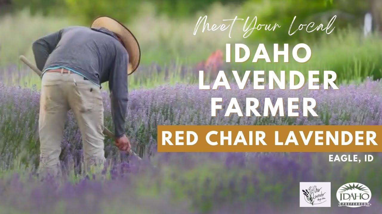 Red Chair Lavender | Idaho Preferred Producer Origin Story - YouTube