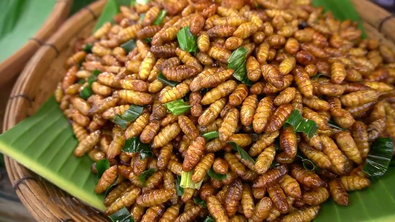 Streetfood // BUG POP // Fried Bugs in Thailand - YouTube