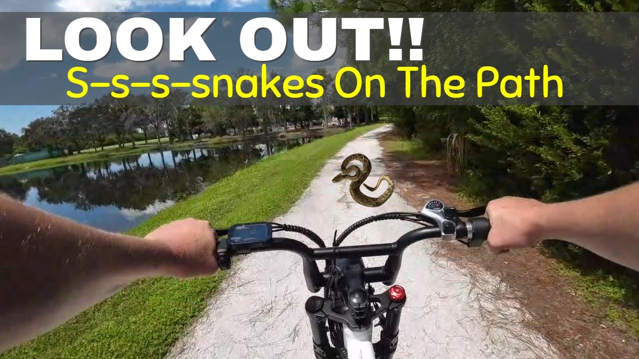 eBike Riding | SNAKE ON THE PATH - YouTube