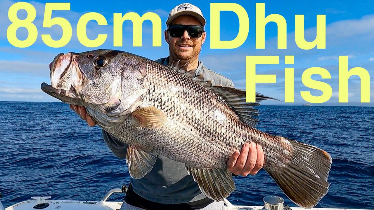 Monster 85cm Dhu Fish - YouTube