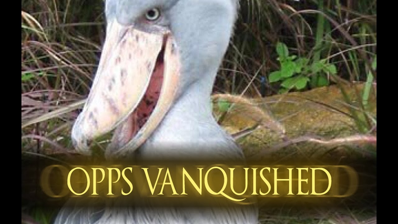 Zonthan - Stork Steak (alchemist, earl sweatshirt drumless inspired ...