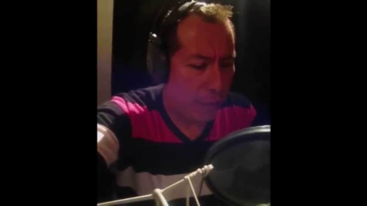 CASTING DE VOZ, OFICIAL MATUTE, DON GATO Y SU PANDILLA, RODOLFO NAVARRO ...