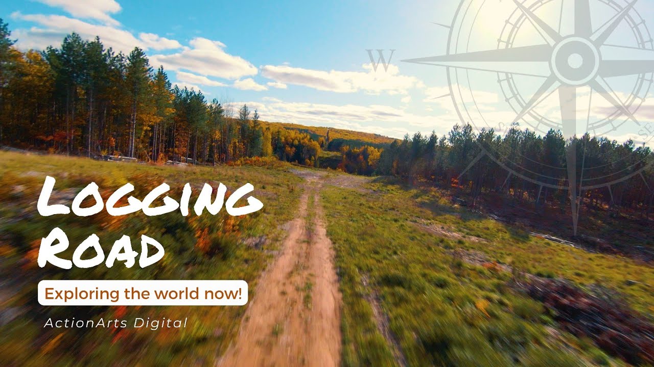 DJI FPV Drone Video Logging Road - Northern Michigan - YouTube