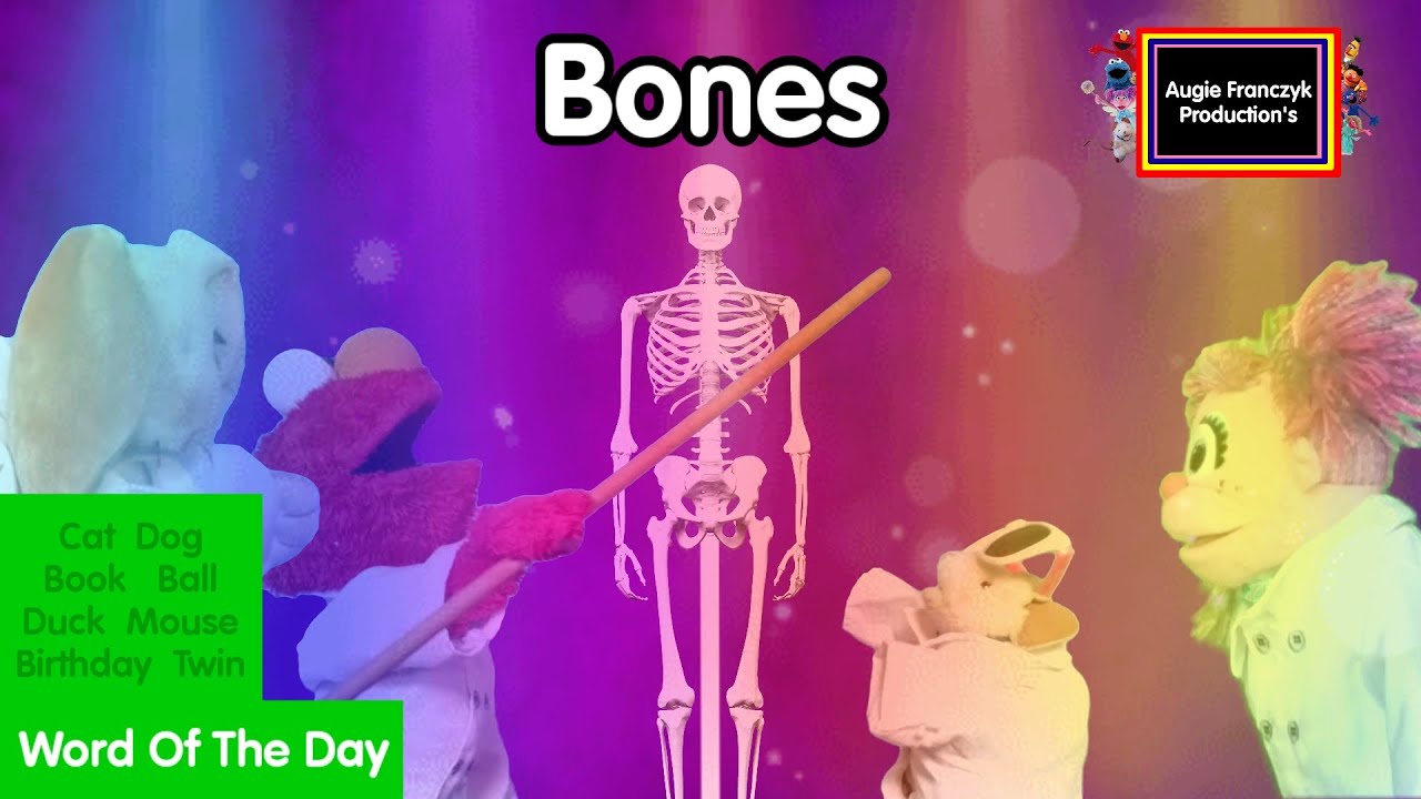 The Word Of The Day: Bones - YouTube