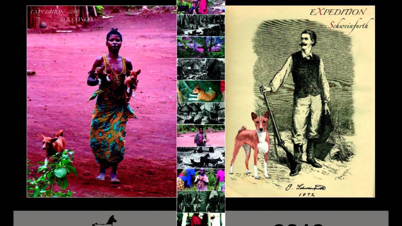 Kalender Basenji Calendar 2012 - YouTube