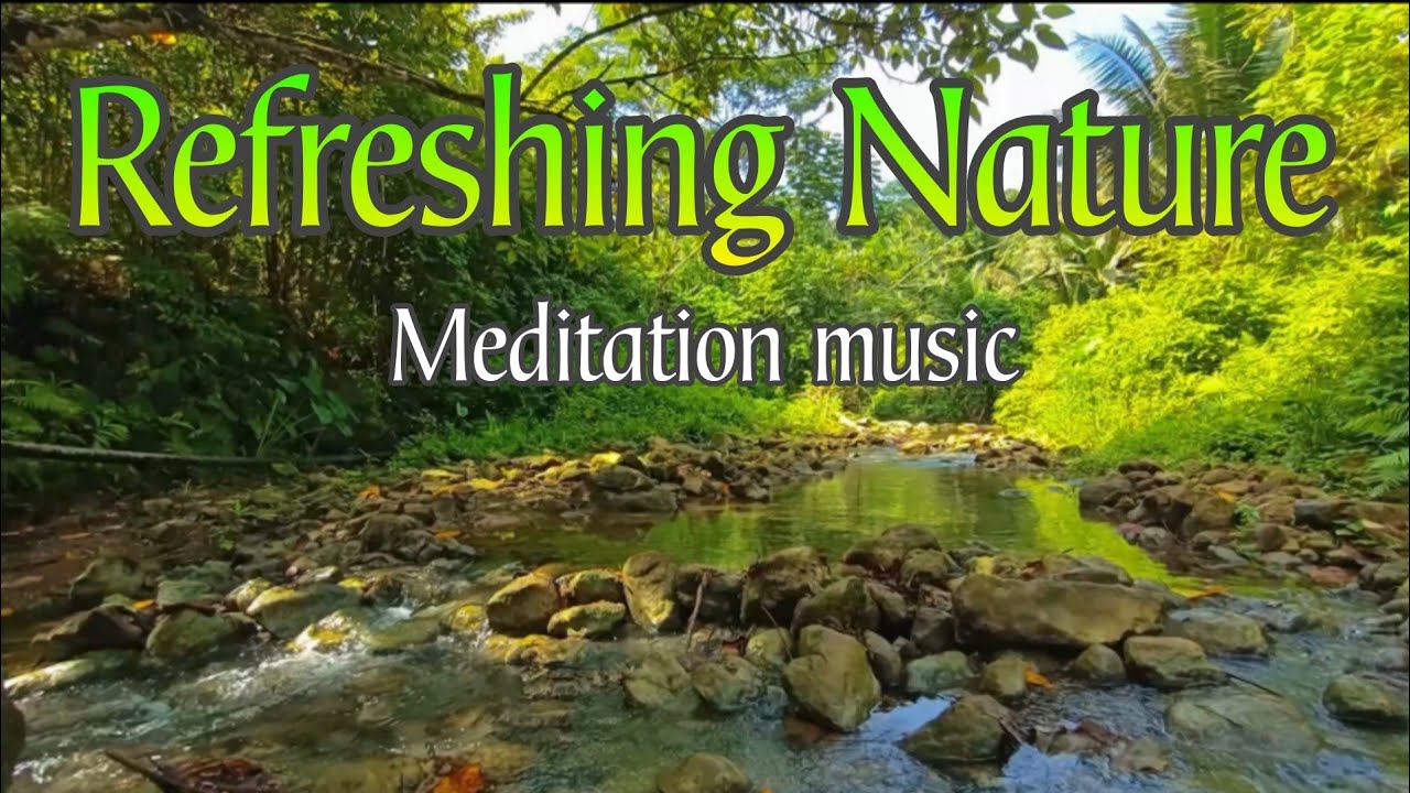 Refreshing Forest Nature - Healing Ambient Sounds For stress relief ...
