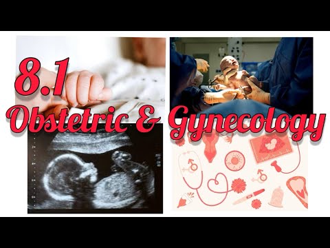 Antepartum assessment of Fetal well-being /  Part 1