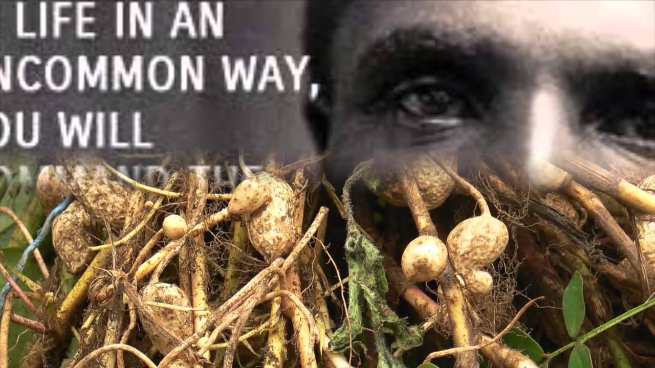 Dreams Begin with Dreamers Green Screen 1280 x 720 High - YouTube