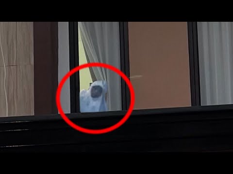 DIKIRA EMAKNYA YANG NGINTIP PADAHAL SOSOK JIN #penampakan