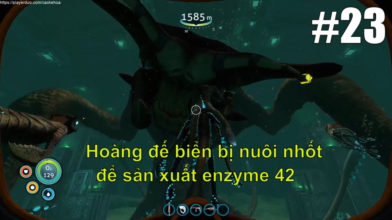 Subnautica việt hóa #23 | Hoàng đế biển bị nhốt để sản xuất enzyme 42 ...