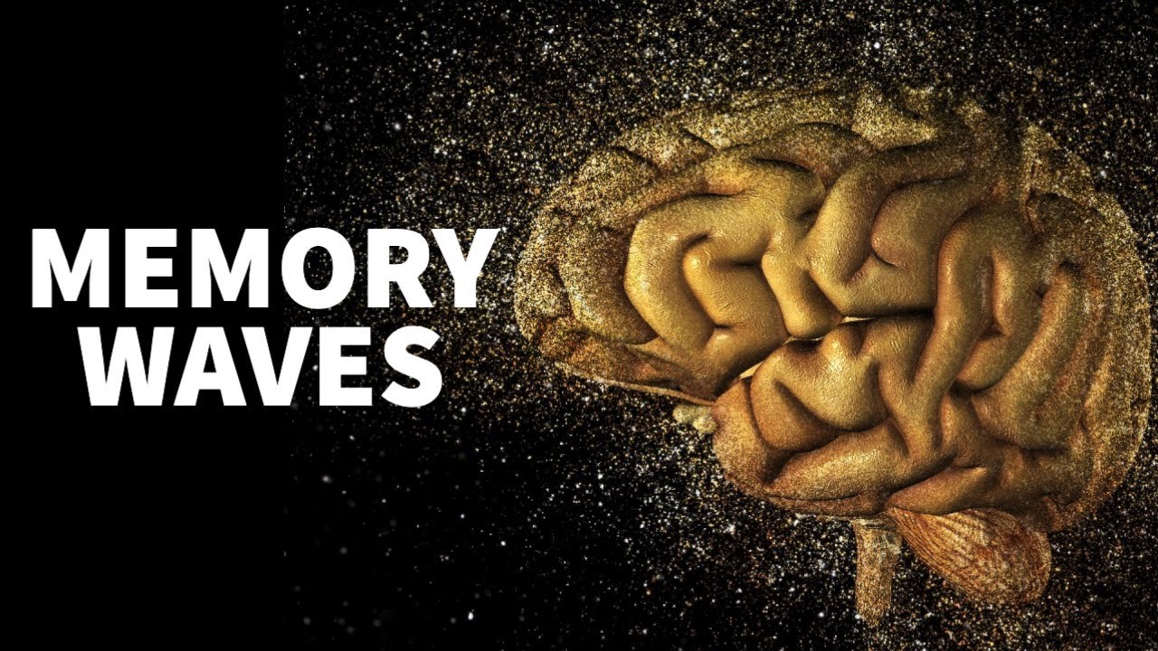 INCREASED INTELLIGENCE | Alpha Frequencies | Memory And Motivation ...