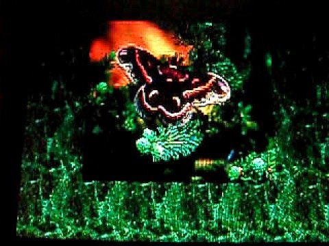 J.J.Cale - Cajun Moon - YouTube