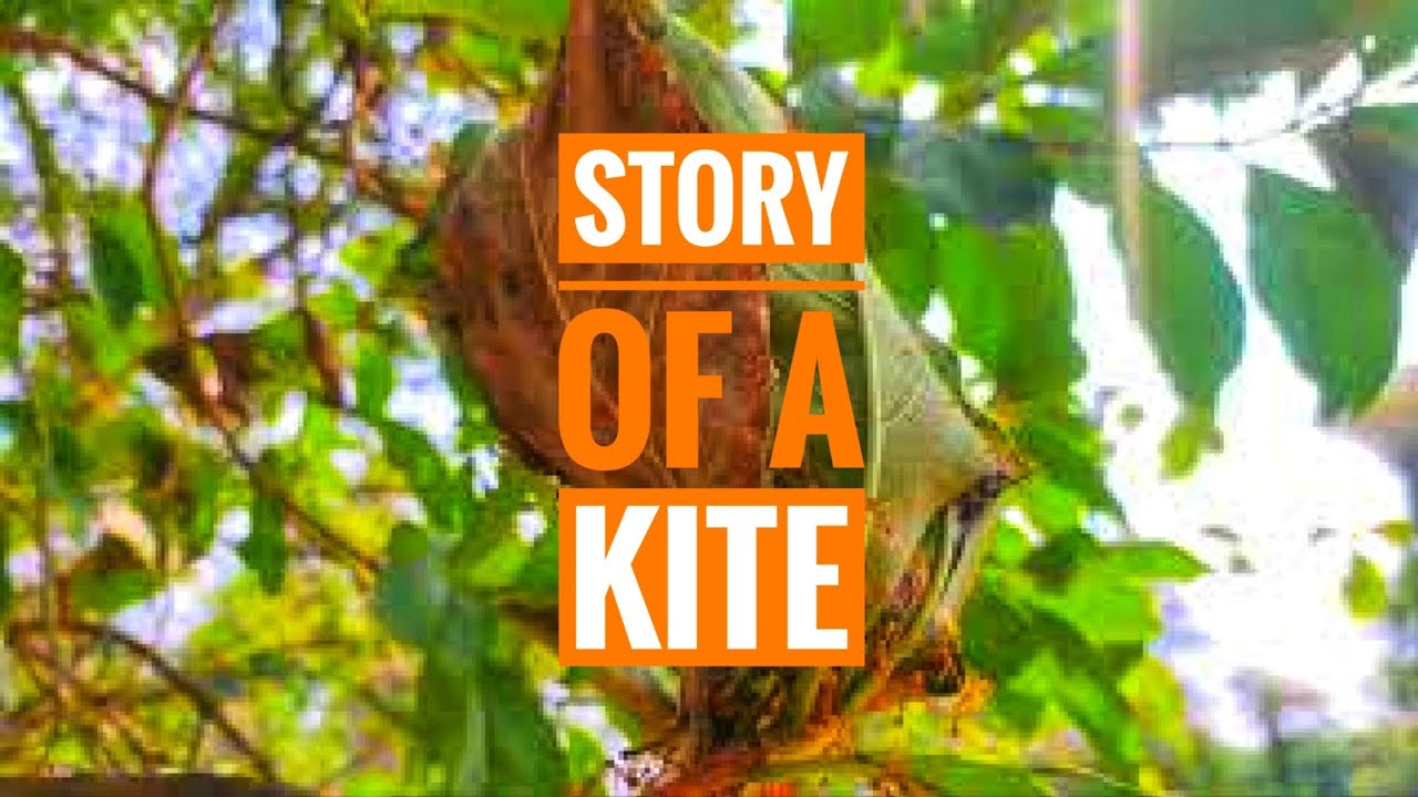STORY of a KITE - YouTube