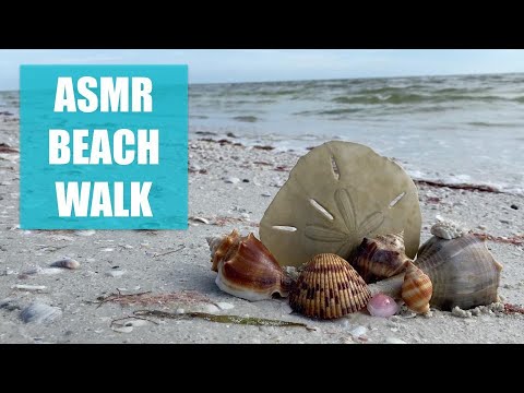 ASMR Virtual Beach Walk Fort Myers Beach - YouTube