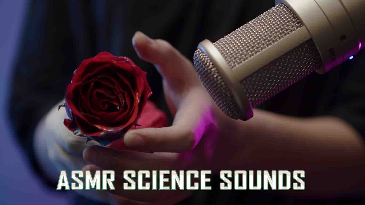 Dry Ice Experiments - Creating Fun with Chemical Reactions | ASMR ...