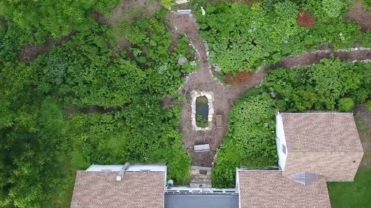 Merrimac Farm WMA Wildlife Graden - YouTube