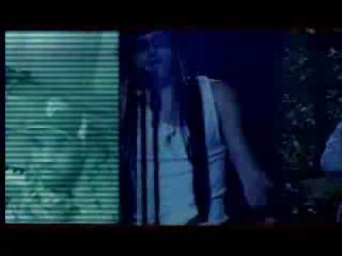 Whild Peach - YouTube