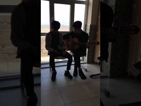 Çatı katı (CAN ARI TANER DÖNMEZ)