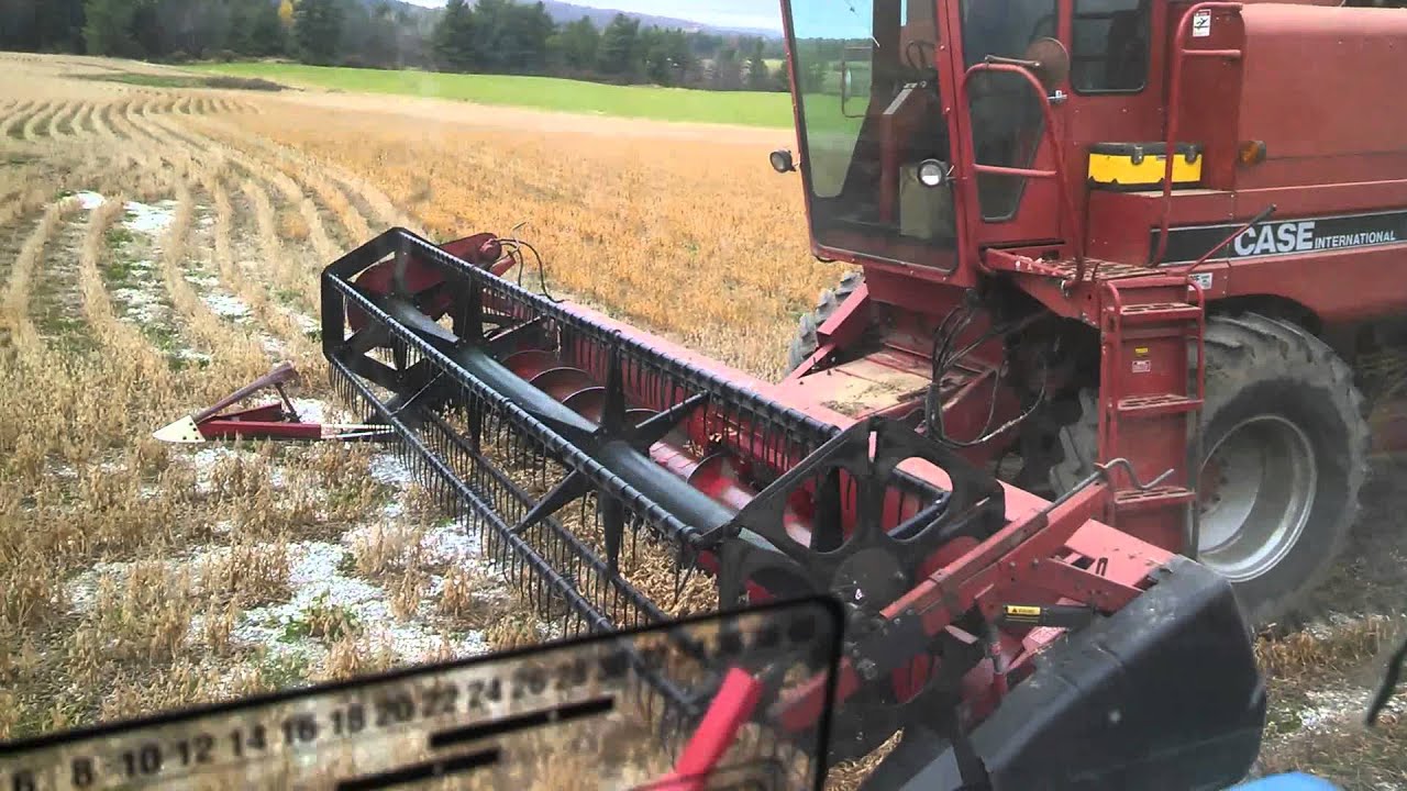 Case IH 1460 harvesting soybeans - YouTube