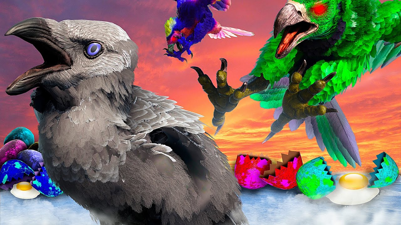 A História do Bebê Corvo Que Perdeu Tudo Em Um Ataque Furioso de ...