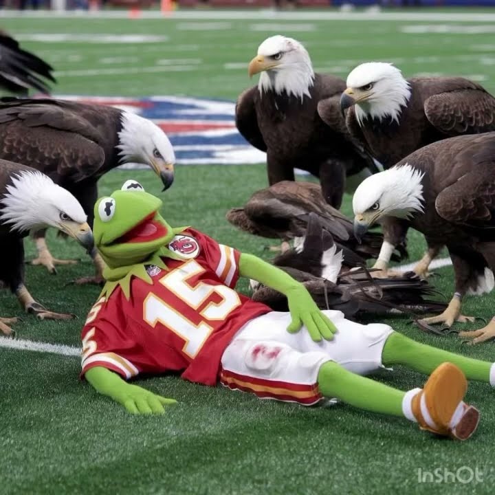 Eagles Destroy Kermit the Frog & The Chiefs #NFL - YouTube