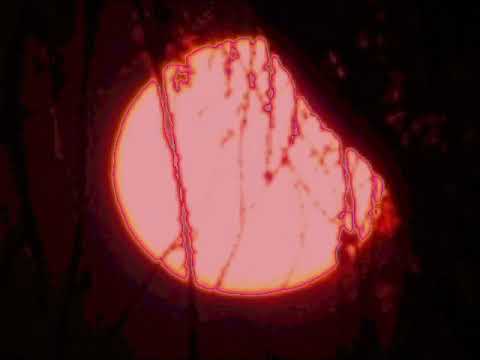 Old Devil Moon on the 10th of January 2019 - YouTube