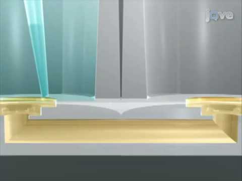 BioFlux System for Live Cell Assays Under Controlled Shear Flow ...