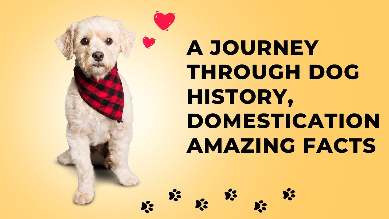 Unleashing the Tale of Man's Best Friend: A Journey through Dog History ...