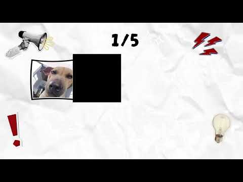 đọc theo hình ảnh chó mèo chim heo