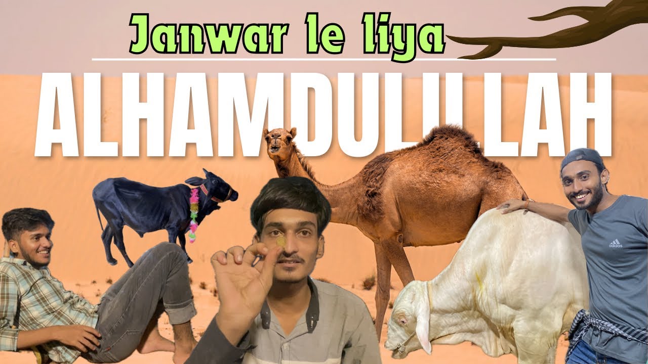 Alhamdulillah ek or janwar leliya😍 | shapatar cow hangama machadia😱 ...