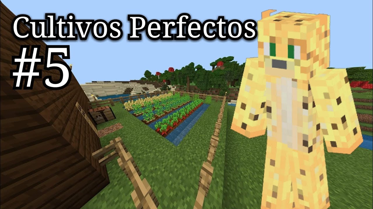 Los cultivos perfectos "Minecraft #5" - YouTube