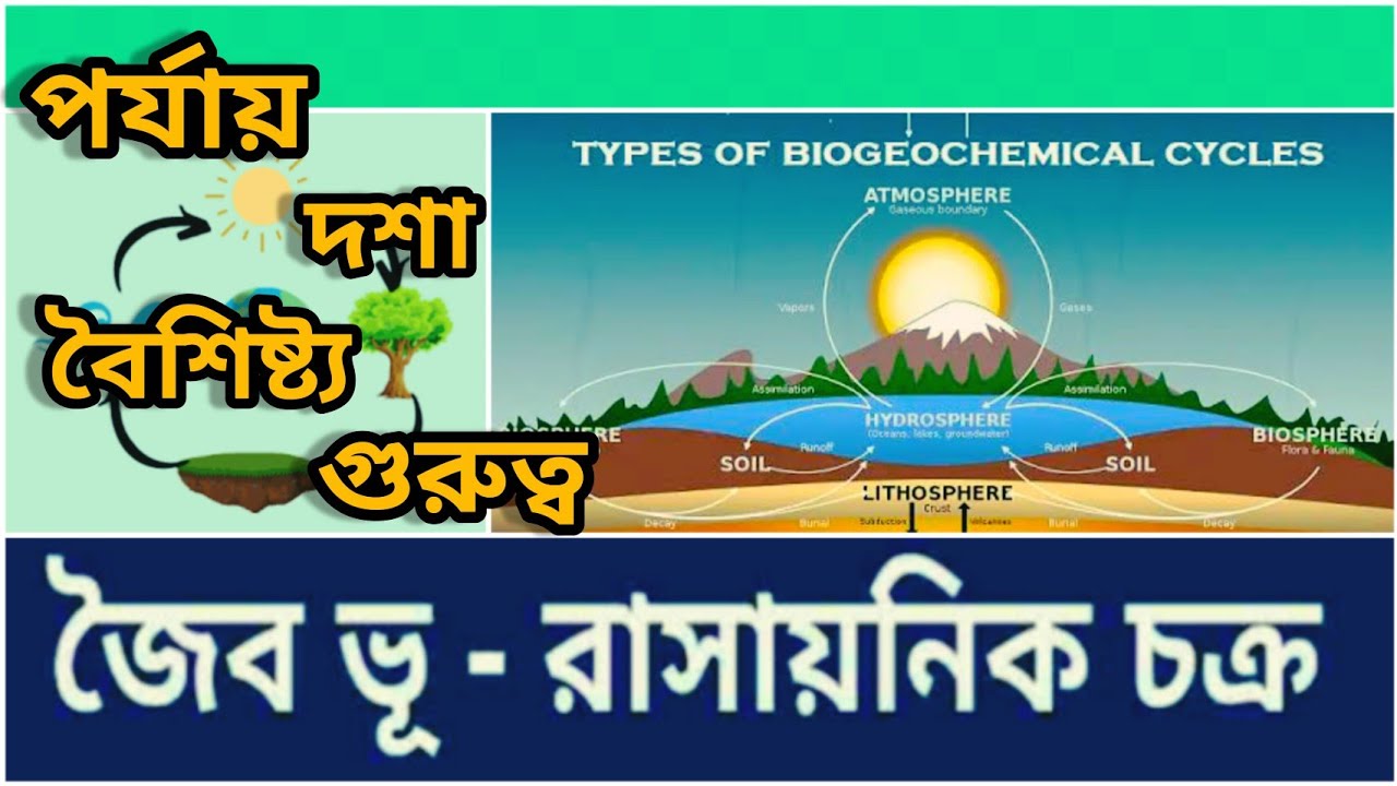 জৈব ভূ-রাসায়নিক চক্র || প্রকারভেদ || গুরুত্ব || Biogeochemical cycle ...