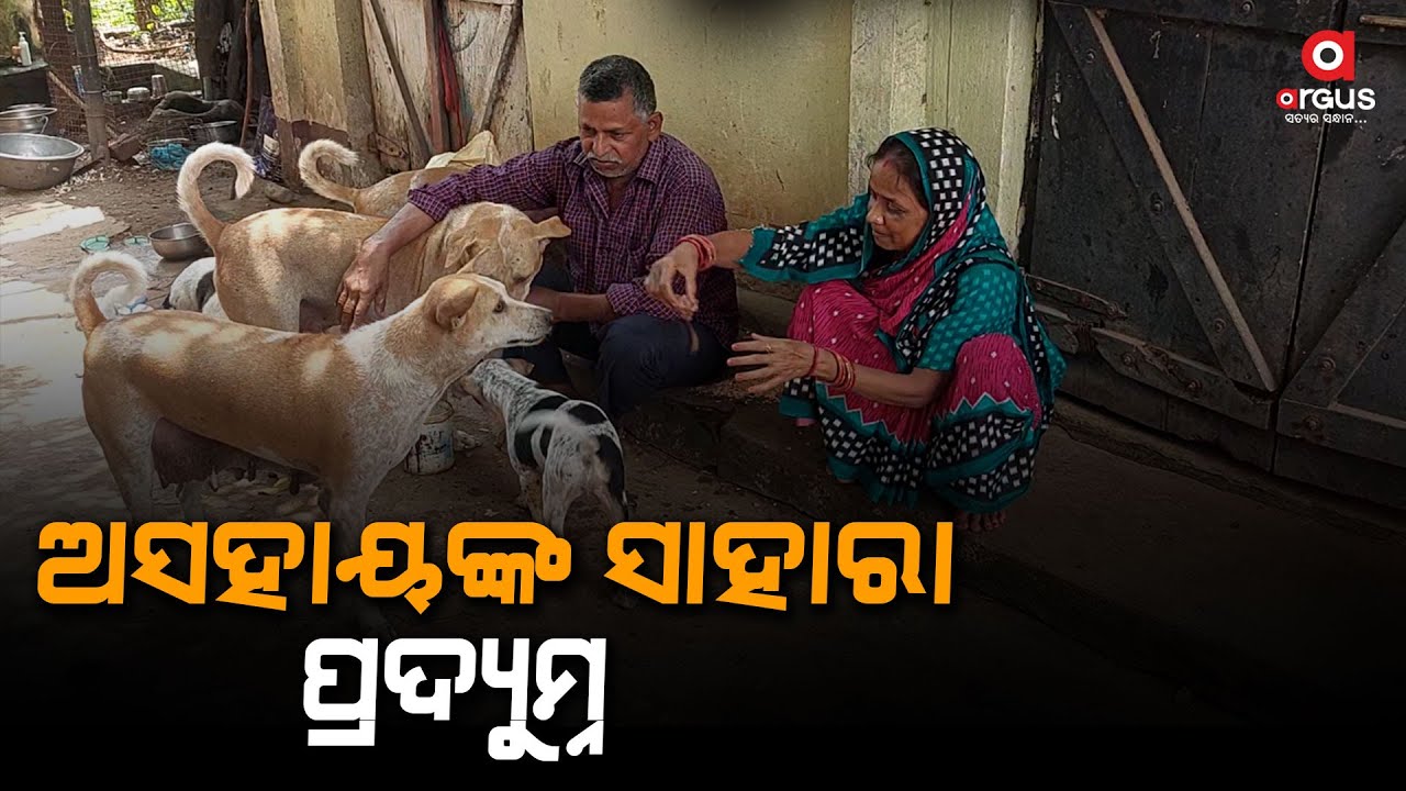 Meet Animal Lover Pradyumna Sahu - YouTube