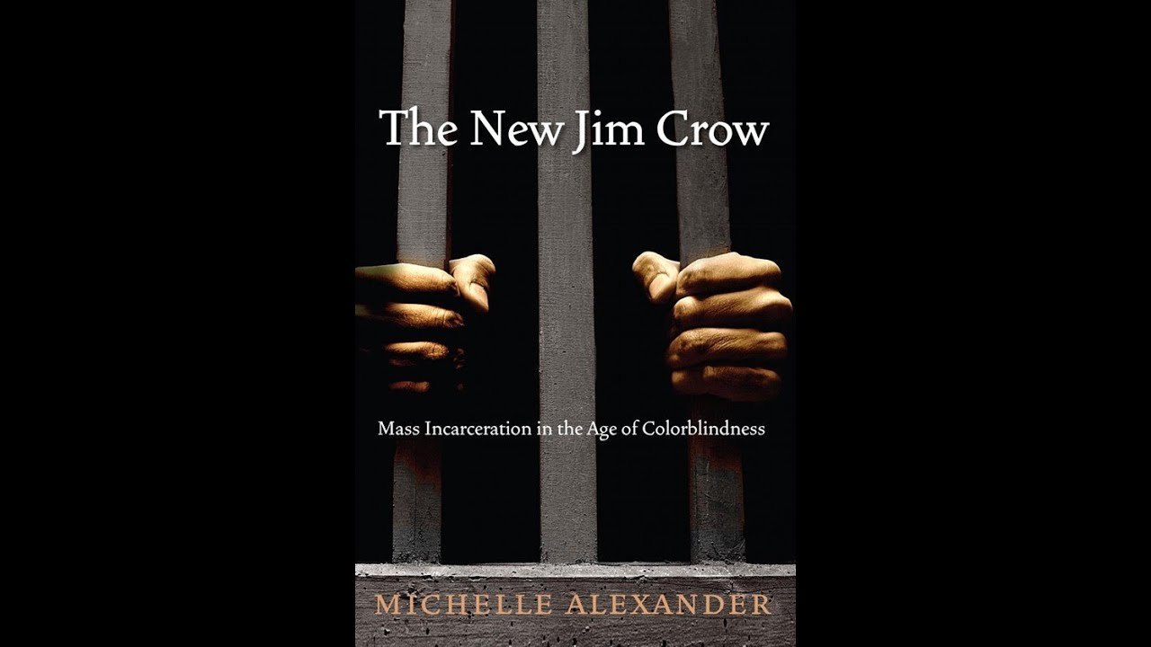 (The New Jim Crow) Interview with Michelle Alexander Pt1 - YouTube