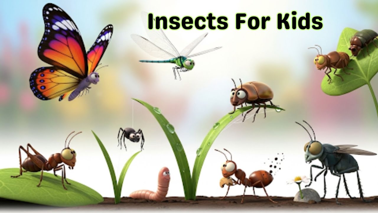 Learn About Insects | Insects Song | Fun Shadow Matching Game for Kids ...