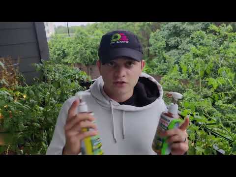 How To Apply Dr Earth'S Liquid Fertilizer For Outdoor Plants