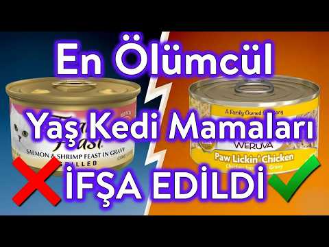 Her Ne Pahasına Olursa Olsun Kaçınılması Gereken 10 Yaş Kedi Maması Markası!