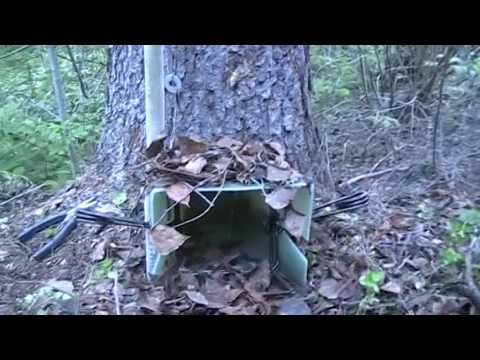 The Ultimate Marten/Fisher Box - YouTube
