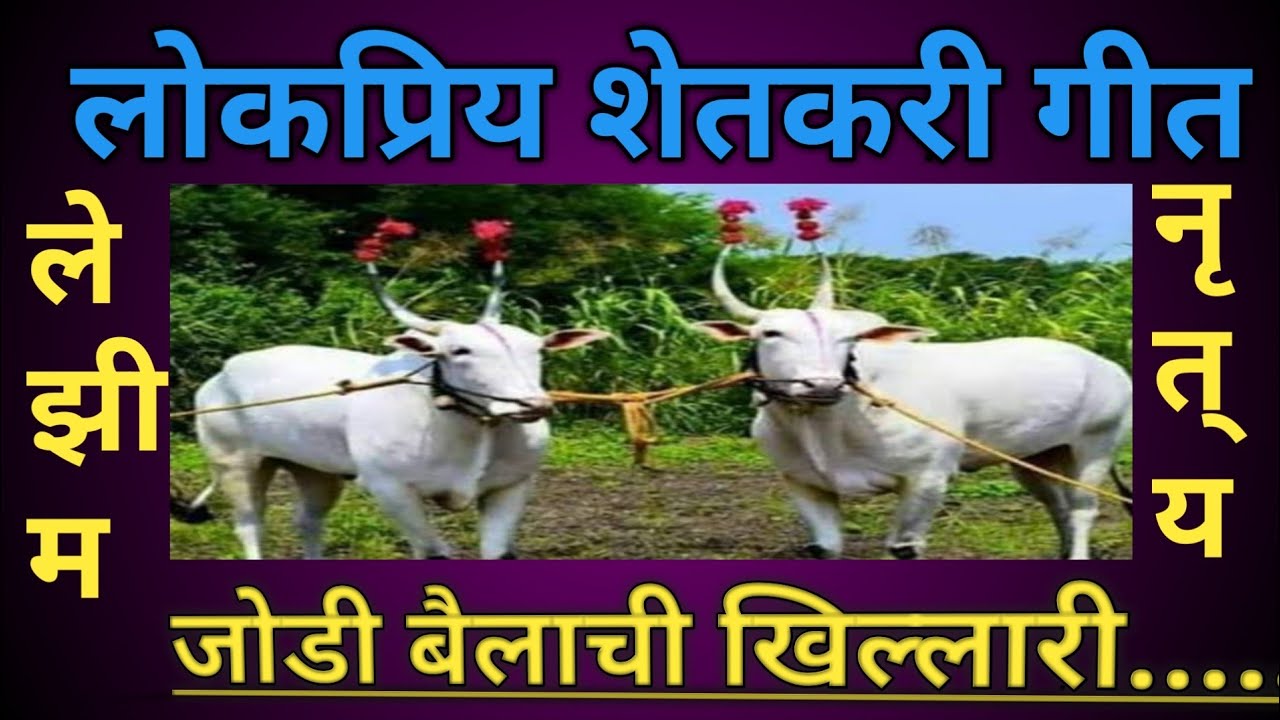 jodi bailachi khilari lezim mix dance ,जोडी बैलाची खिलारी लेझीम नृत्य ...