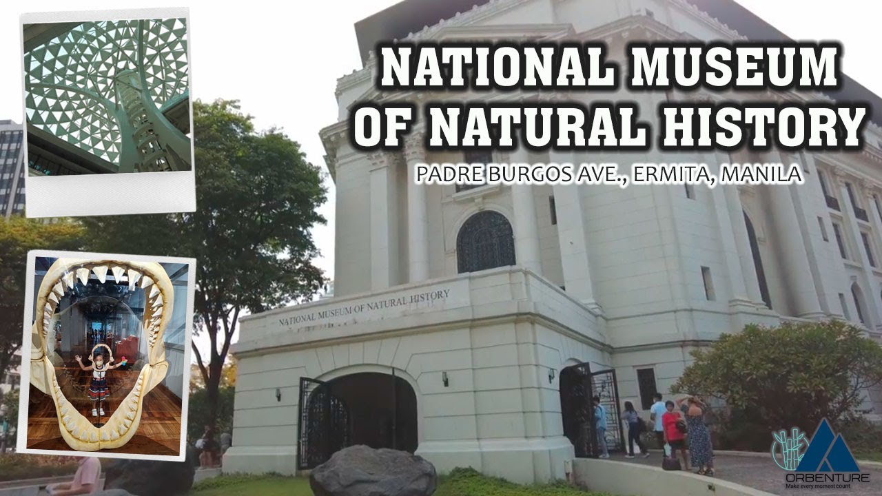 Family goes to National Museum of Natural History (Ermita, Manila ...