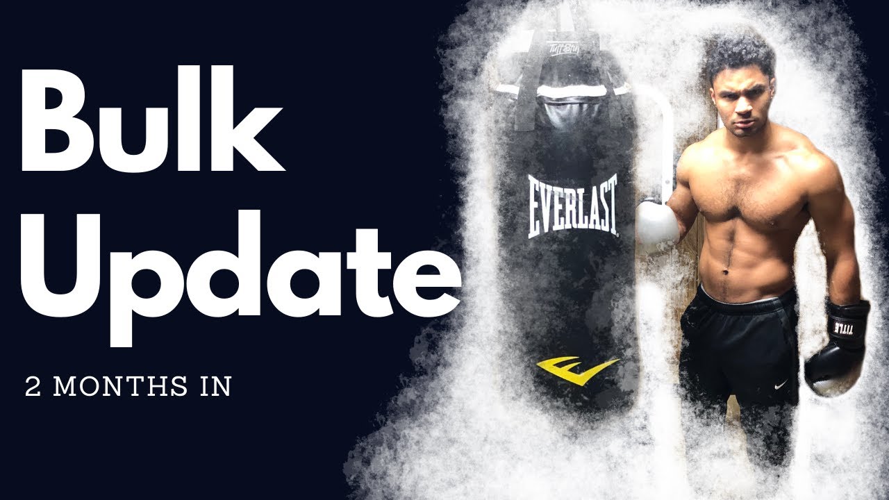 Bulk Update (2 Months in) - YouTube