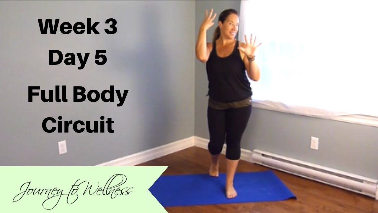 Body Transformation Challenge - Week 3 Day 5 Workout - YouTube