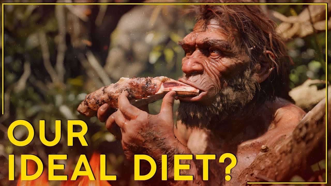 Paleolithic diet: Should we eat like our primitive ancestors - YouTube