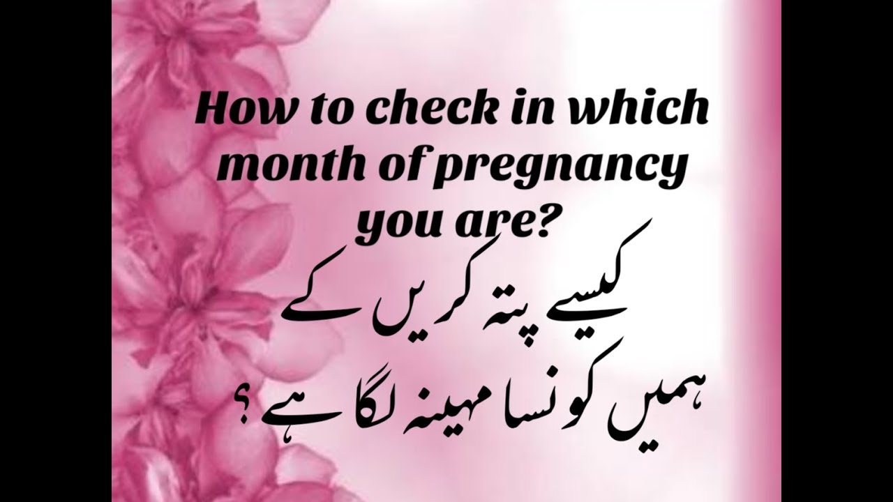 How To Check In Which Month Of Pregnancy You Are?|| Estimate Your Week ...