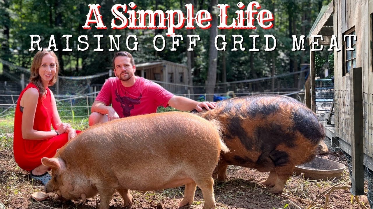 Easy Fall Garden Clean-Up and Raising MEAT Off Grid | Self-Sufficient ...