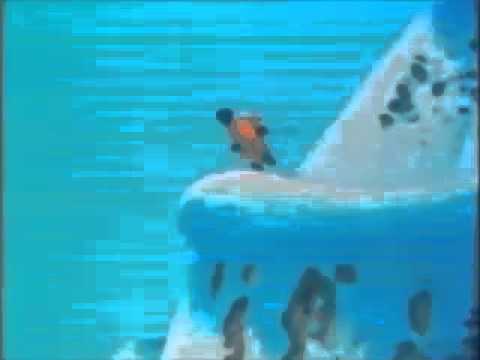 The Living Bullet - YouTube