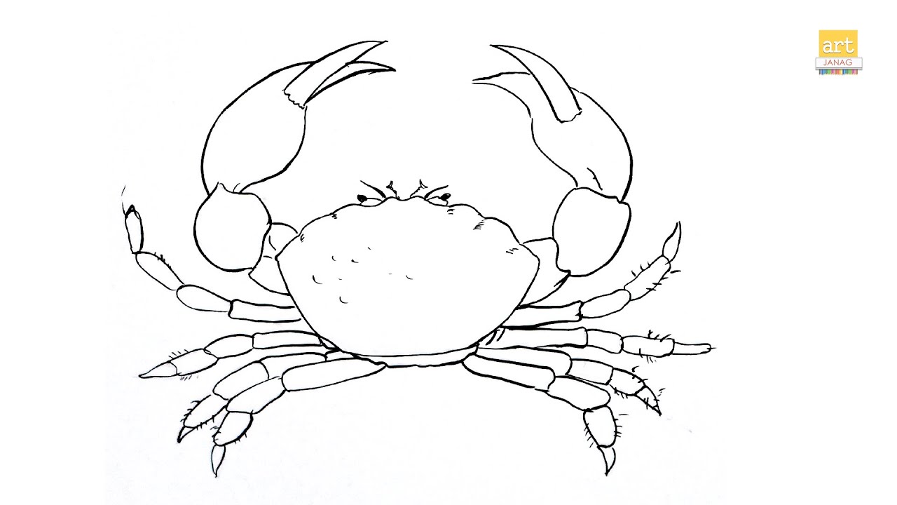 Crab Line Drawing