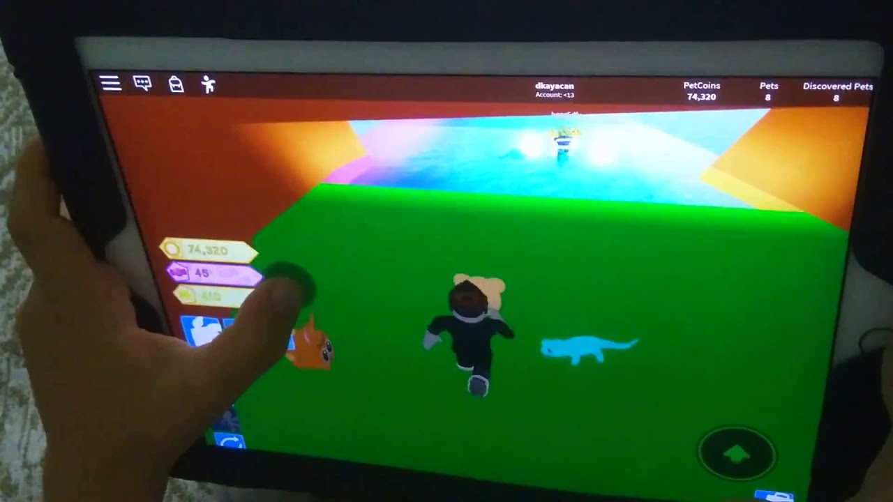 Roblox Pet Trainer Simulator - YouTube