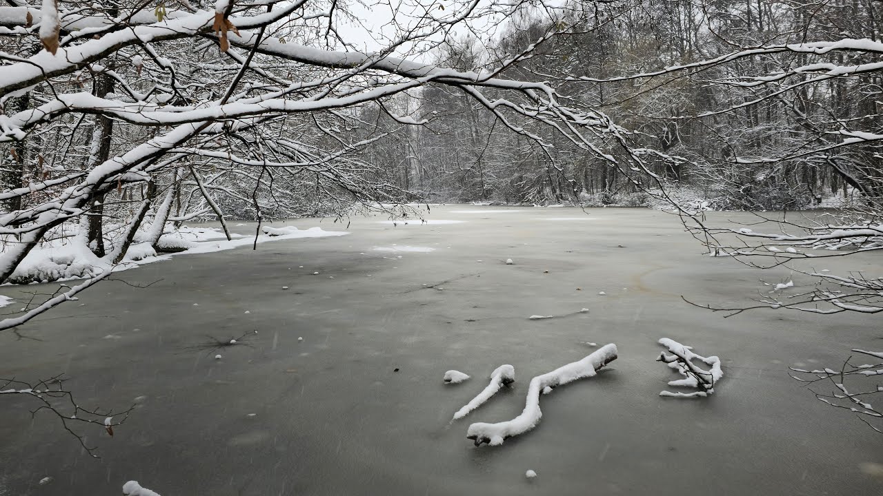 White Christmas by Beatrice Hallenberg - YouTube