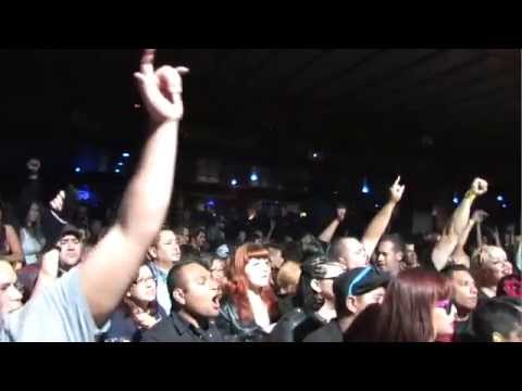 Gamblers Mark - YouTube